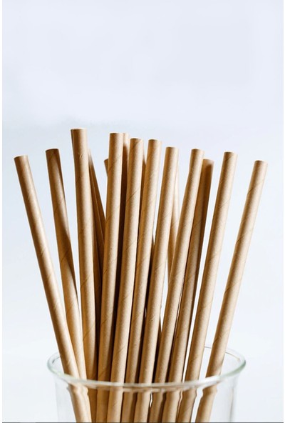 Trend Hediye Sepeti Kraft Pipet 25'li Kağıt Pipet Naturel Trend Hediye Sepeti Kraft Pipet 25'li Kağıt Pipet Naturel