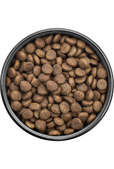 Teodor Somonlu Köpek Maması Teodor Somonlu Köpek Maması