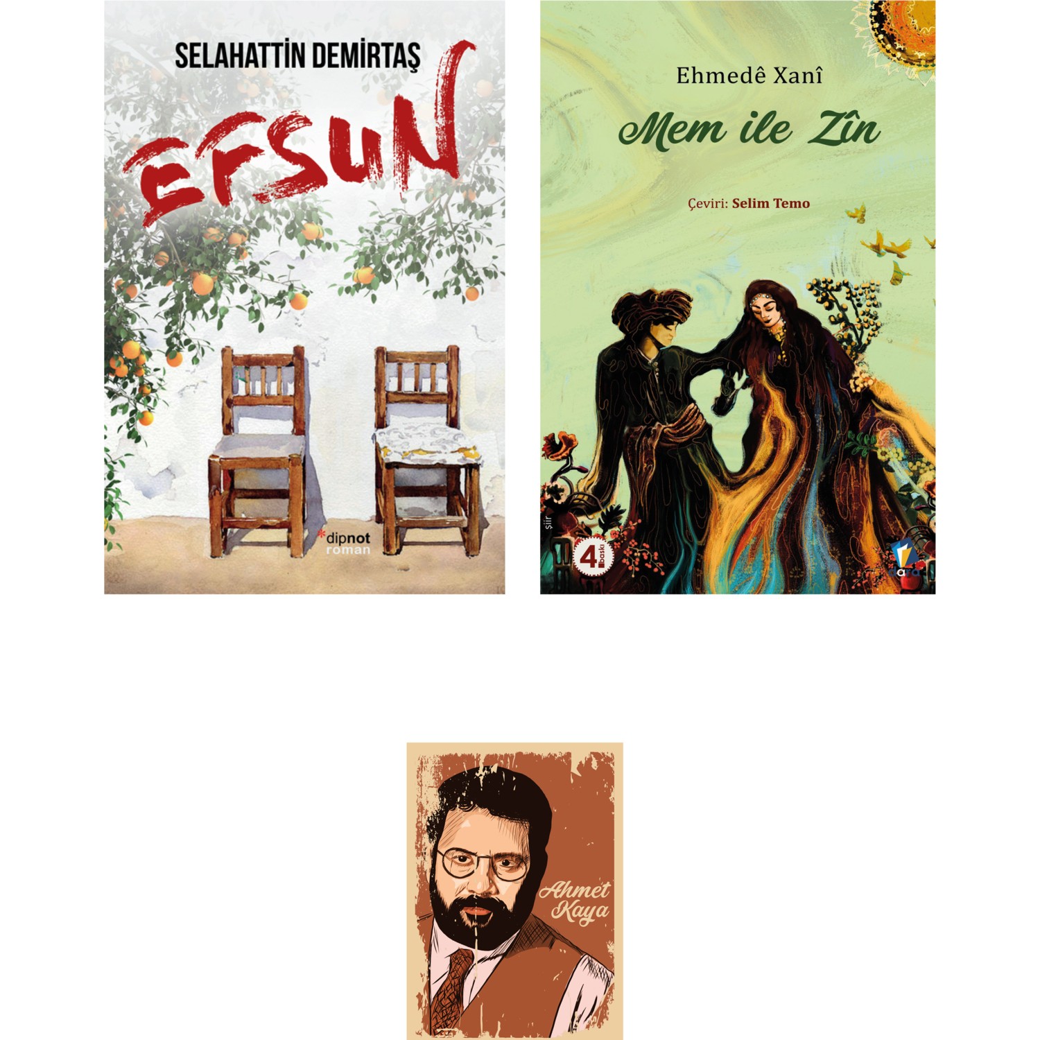 Efsun Selahattin Demirtaş - Mem Ile Zin Özel Seti Kitabı ve Fiyatı