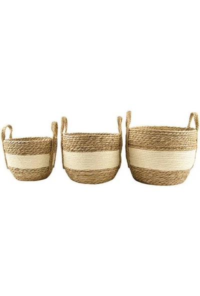 Aster Bitki Tasarımı Krem Ortası Şeritli Kulplu Hasır Sepet Üçlü Set 31 cm 28 cm 25 cm Aster Bitki Tasarımı Krem Ortası Şeritli Kulplu Hasır Sepet Üçlü Set 31 cm 28 cm 25 cm