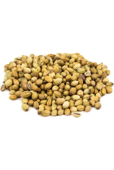 Kavurga Kuruyemiş Kişniş Tane 500 gr Kavurga Kuruyemiş Kişniş Tane 500 gr