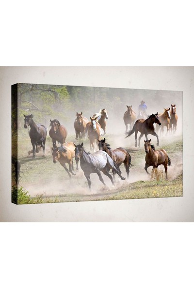 Lukas Kanvas Tablo 30 x 40 cm Hayvan Tabloları HY53 Lukas Kanvas Tablo 30 x 40 cm Hayvan Tabloları HY53