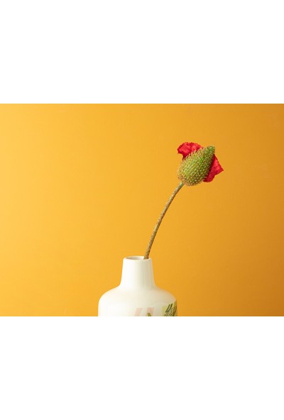 English Home Wild Flower Tek Dal Yapay Çiçek 73 cm Kırmızı English Home Wild Flower Tek Dal Yapay Çiçek 73 cm Kırmızı