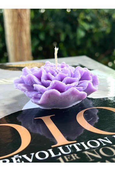 Vela Craft Production Flower Series Karanfil Şeklinde Lavanta Kokulu El Yapımı Doğal Soya Mumu Vela Craft Production Flower Series Karanfil Şeklinde Lavanta Kokulu El Yapımı Doğal Soya Mumu