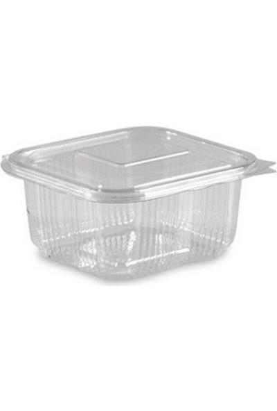 Aydınlar Ambalaj Plastik Sızdırmaz Kap Kapaklı Şeffaf Kase 500 gr cc 50 Adet