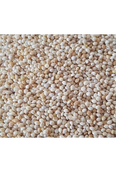 Özkan Ak Darı Beyaz Darı Muhabbet Kuşu Kafes Kuşları Yemi 3 kg