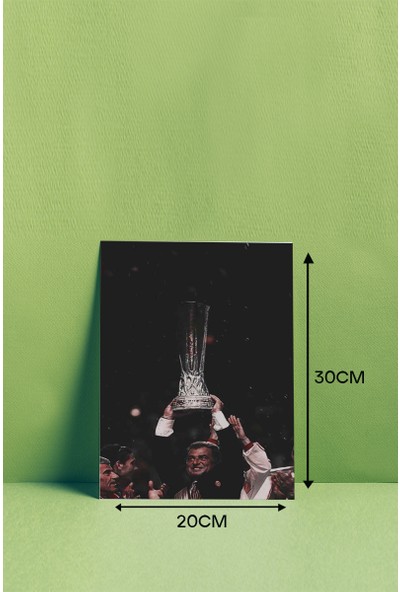 Fatih Terim Uefa Kupası Ahşap 20X30 Mdf Tablo Fatih Terim Uefa Kupası Ahşap 20X30 Mdf Tablo