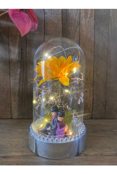 Mermi Işıklı Teraryum Fanus