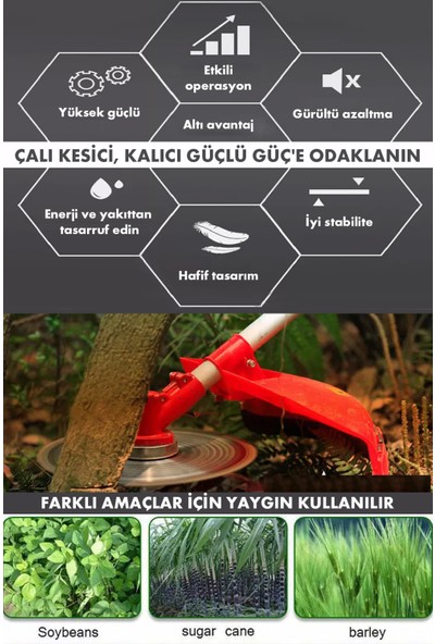 Assur 11000RPM 5.9 Hp Yan Tipi Benzinli Motorlu Ot Çalı Çim Biçme Tırpanı-Turuncu Assur 11000RPM 5.9 Hp Yan Tipi Benzinli Motorlu Ot Çalı Çim Biçme Tırpanı-Turuncu