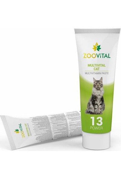 Zoo Vital Multivital Kedi Macunu 100 gr