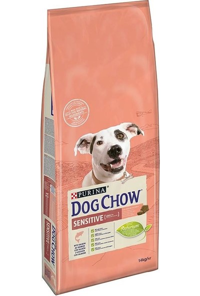 Purina Dog Chow Adult Somonlu Hassas Yetişkin Köpek Maması 14 KG