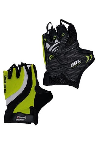 Dragon Body29 Fitness Eldiveni