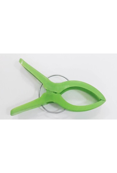 Mr. Toys Yeşil Şezlong Mandalı 4'lü