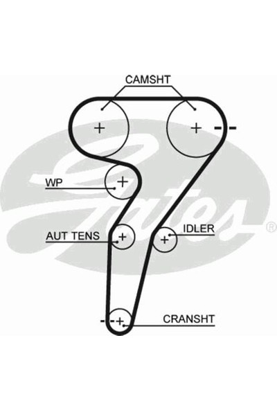 Gates Triger Kayışı 168 Dış Marea Brava 1.8 9501
