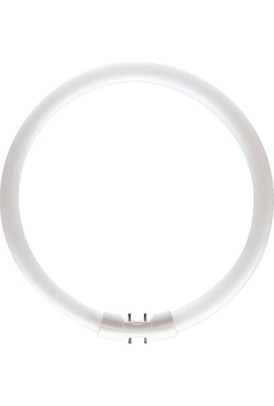 Master Tl5 Circular 55W/840 1ct/10 4000K Günışığı Floresan Ampul Master Tl5 Circular 55W/840 1ct/10 4000K Günışığı Floresan Ampul