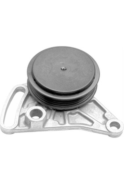 Ina Alternatör Gergisi Passat 1.9 Tdı 96