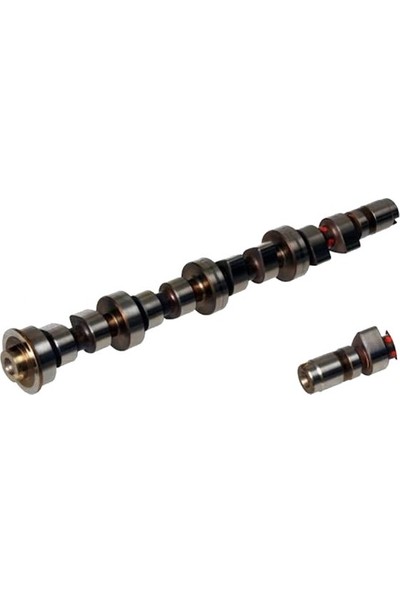 Supsan Eksantrik Mili Ex 1 Mil Palio 1.6 16V Stepa