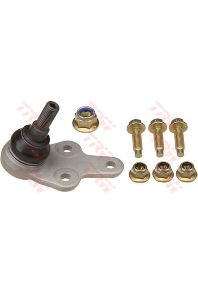 Trw Rotil Ön Alt 21 Mm Focus C Max 06