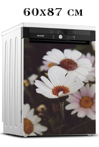 Renkselart Bulaşık Makinesi Sticker 029