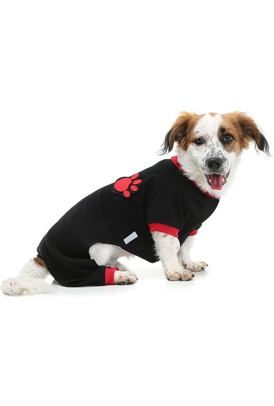 Dogi & Dog Pati Kedi - Köpek Tulumu - Köpek Kıyafeti