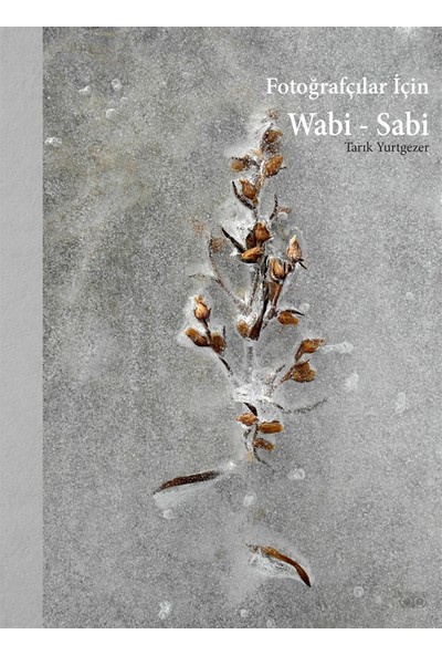 Fotoğrafçılar İçin Wabi - Sabi