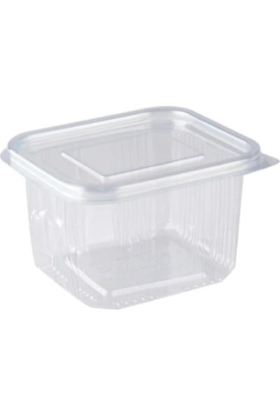 Sera Sızdırmaz 500 gr Plastik Kap 100 Adet