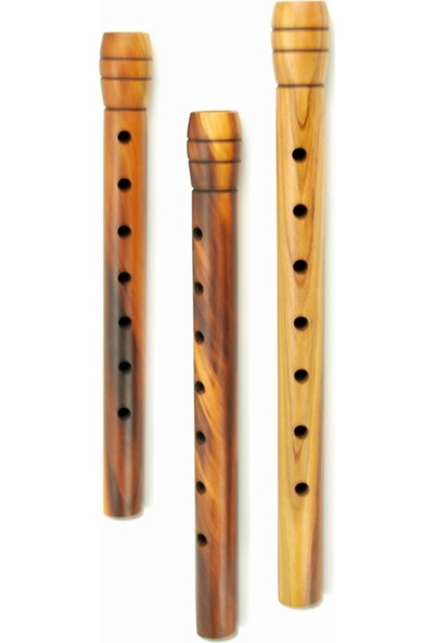 Ses Müzik Aletleri Meykpcmı Mey Kayısı Pro Cura Mi 19,5 Cm Ses Müzik Aletleri Meykpcmı Mey Kayısı Pro Cura Mi 19,5 Cm