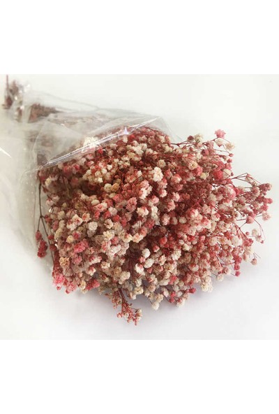 Doğal Cipso Çiçek Kırmızı ( 18 cm * 40 cm ) ( 1 Demet _ 50 Gram) Doğal Cipso Çiçek Kırmızı ( 18 cm * 40 cm ) ( 1 Demet _ 50 Gram)