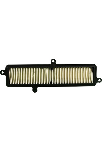 Suzuki AN 200 BURGMAN Hava Filtresi(2007-2010)