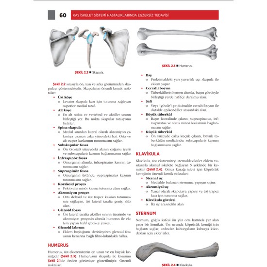 Kas Iskelet Sistemi Hastalıklarında Egzersiz Tedavisi Kitabı