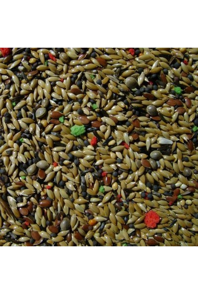 Sağlık Tarım Ürünleri Kanarya Yemi Karışık 10 Kg