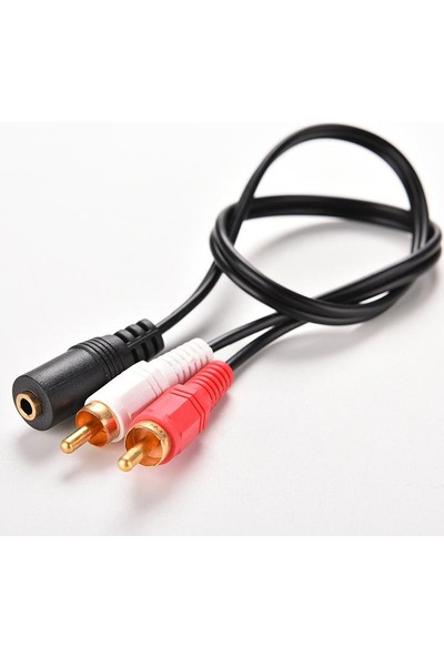 Stereo Dişi To 2 Rca Erkek Çevirici Stereo Dişi To 2 Rca Erkek Çevirici