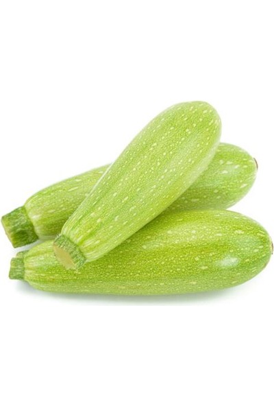 Paşa Tohumculuk kabak Tohumu - Toygar 25 Gr