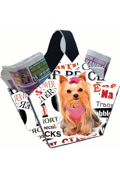 Melay Tatlı Terrıer'Li Gazetelik