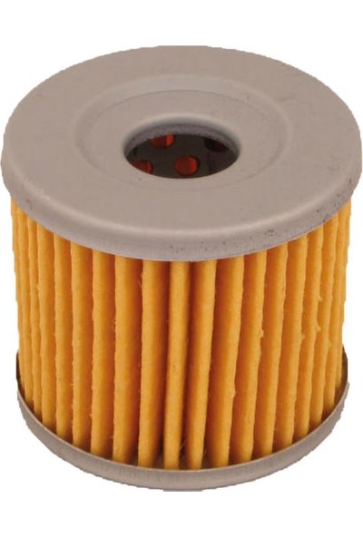 Tvs APACHE 150 Yağ Filtresi