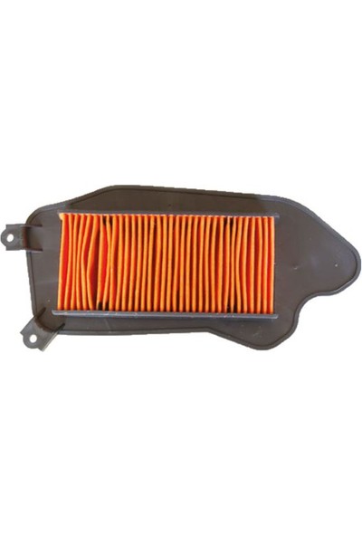 Honda SPACY 110 Hava Filtresi