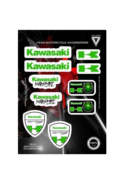 Vexo X25 Kawasakı Stıcker Set