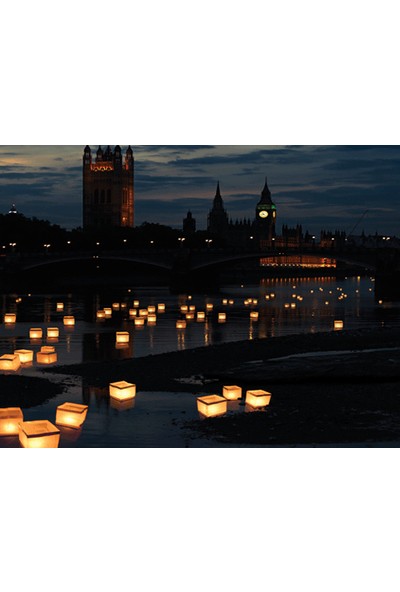 Toptancı Kapında Nilüfer Su Feneri ( 3 Adet )