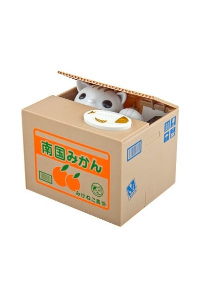 Toptancı Kapında Hırsız Kedi Kumbara