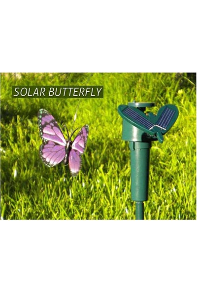 Toptancı Kapında Solar Butterfly Güneş Enerjili Uçan Kelebek