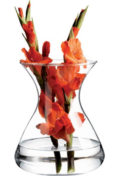 Paşabahçe Botanica Vazo