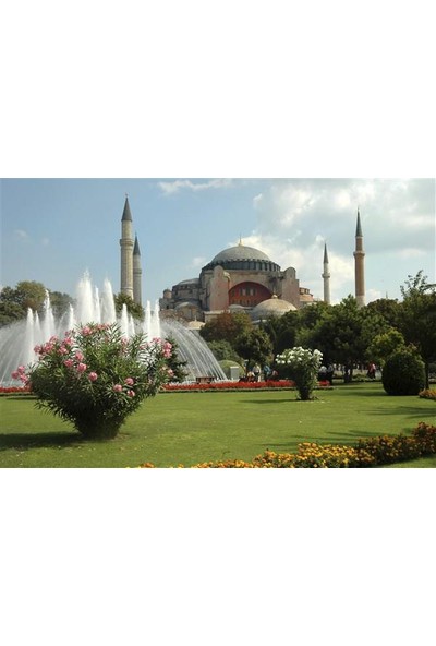 Baraka Home Elektrikli Cam Radyatör 81 - Dikey