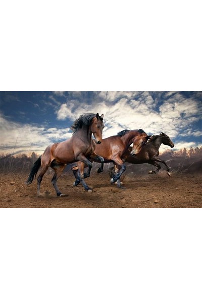 Baraka Home Elektrikli Cam Radyatör 87 - Yatay