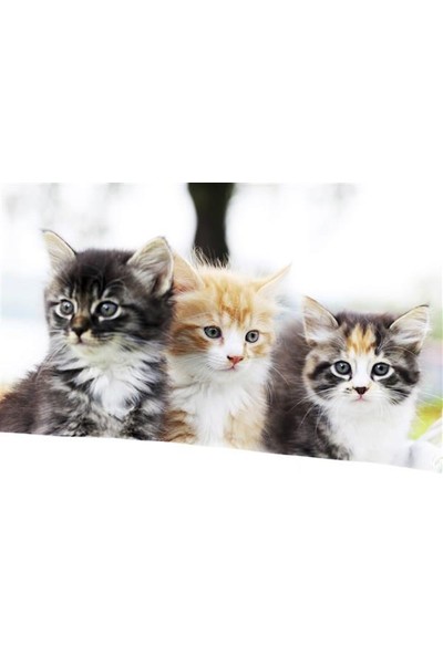 Baraka Home Elektrikli Cam Radyatör 90 - Yatay