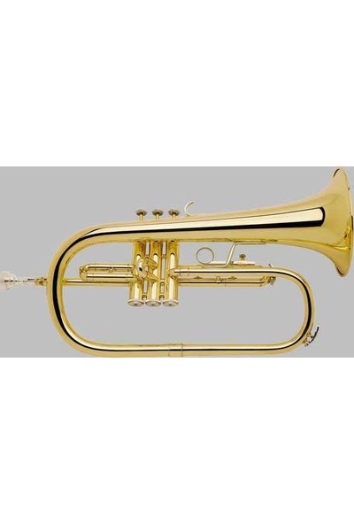 Bach FH200 Flugel Horn Bach FH200 Flugel Horn