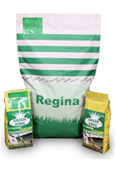 Regina 6 M Çim Tohumu 1 Kg