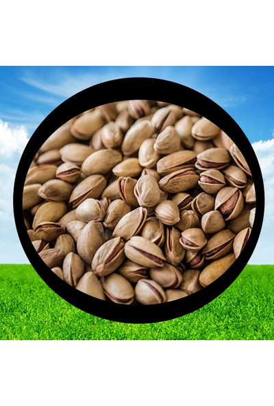 Meşhur Kuruyemiş Anaçıtlak Antep Fıstığı 500 Gr Özel Paket