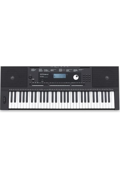 Roland E-X20 Tuş Hassasiyetli Ritimli Org Klavye