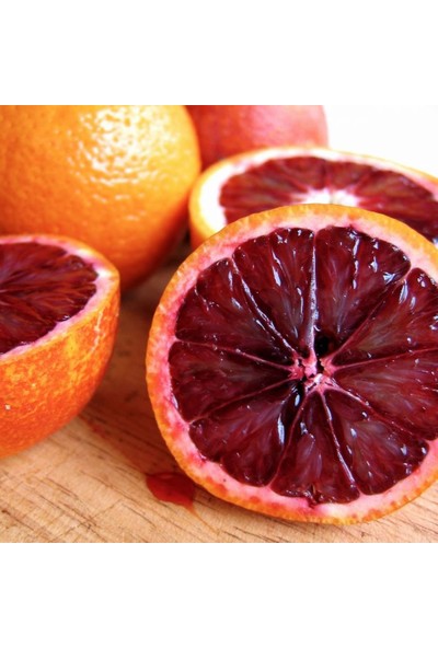 Berke Fidancılık Kanlı-Kan Portakalı 3 Yaş 80 Cm Üzeri