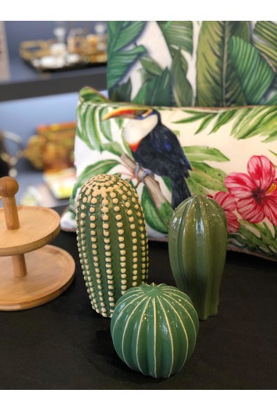 Allianz Kaktüs 3'lü Biblo